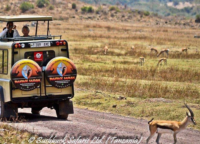 Our Drivers - the best drivers and guides in Tanzania