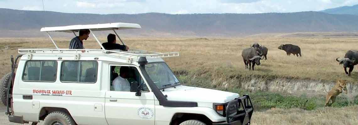 Tanzania Combo Adventures - combinations by Bushbuck